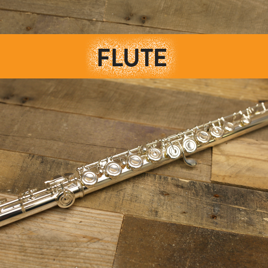 RENT an Instrument – full school year – Star City Music