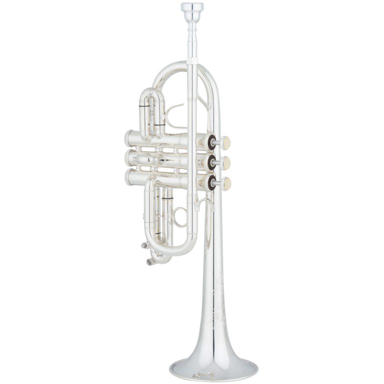 NEW Eastman D/Eb Trumpet, Model ETR540S, Silver, with case – Star City ...